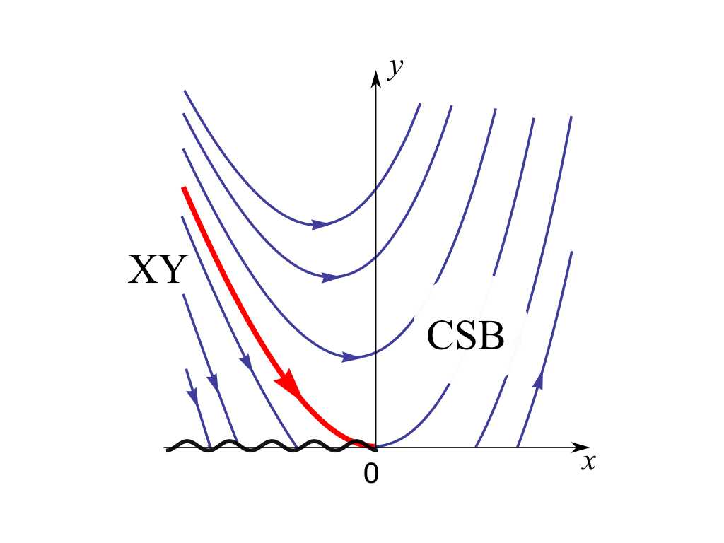 Continuous symmetry breaking and a new universality class in 1D long ...